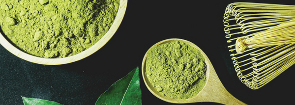 What is Matcha Tea? – Red Blossom Tea Company